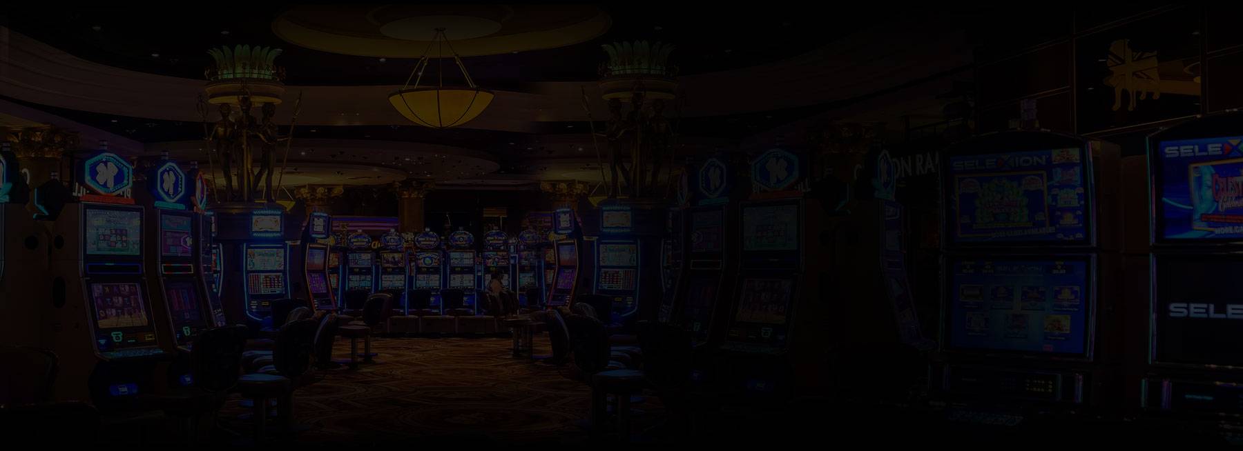 Executive VIP Program